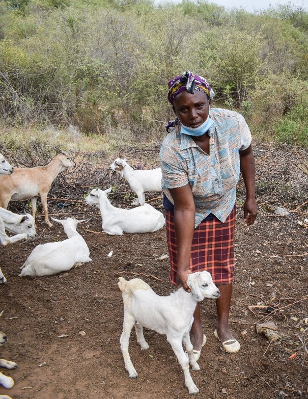 Kenyan family featured on 2020 Trócaire box are surviving the pandemic ...